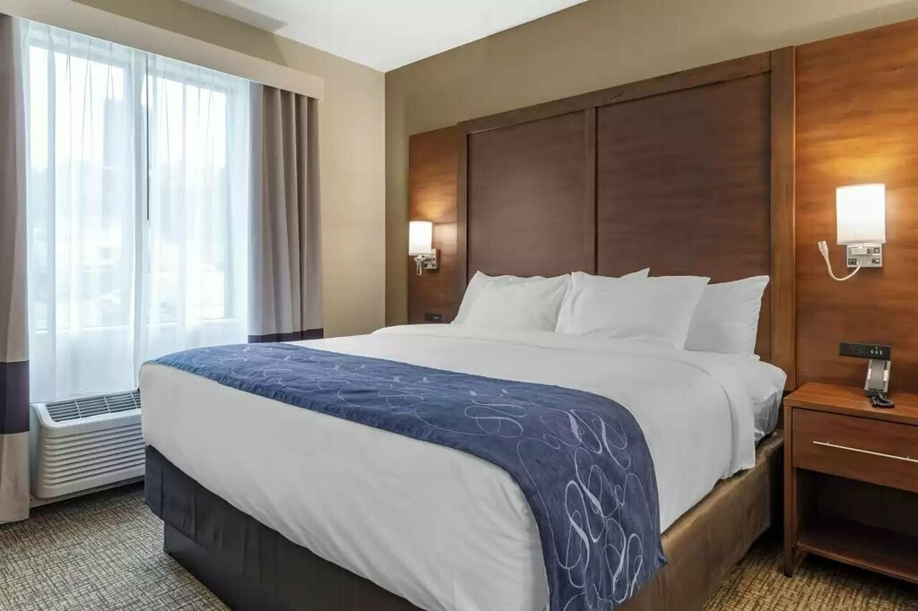 Otel Comfort Suites, Georgia Eyaleti, foto