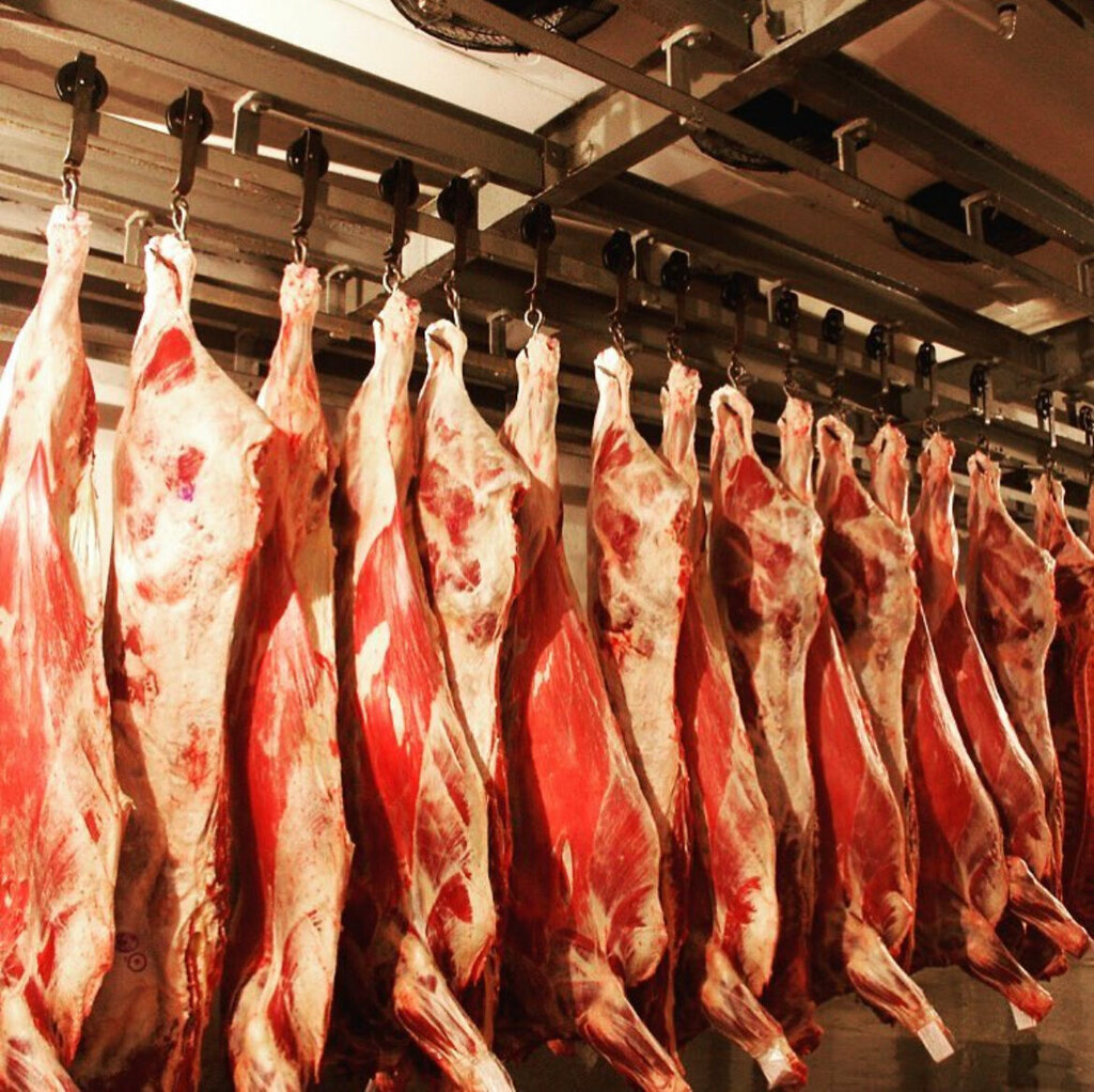 Kasap, şarküteri Мясо, колбасы, Vishniy Volochek, foto