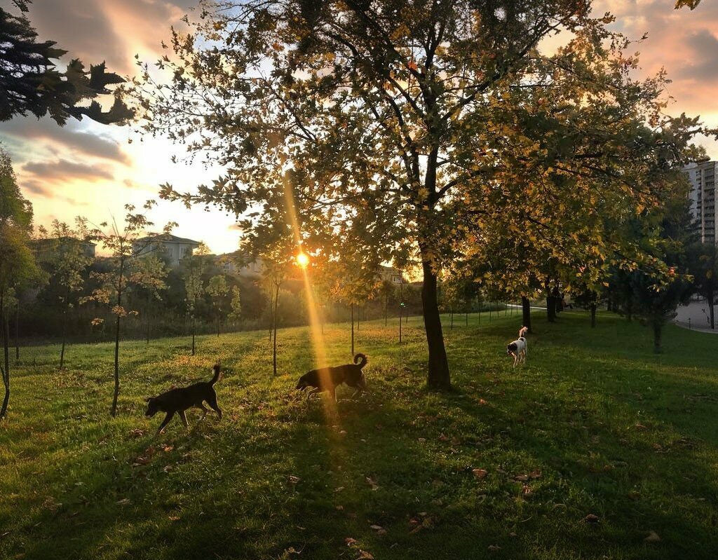 Kültür ve eğlence parkları Şehit Polis Volkan Sabaz Parkı, Kartepe, foto