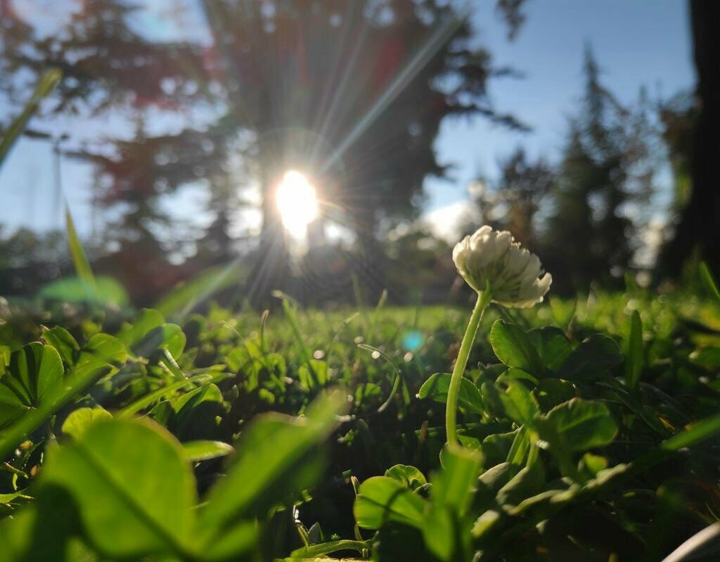 Çocuk oyun ekipmanları Ayhan Sümer Parkı, Ankara, foto