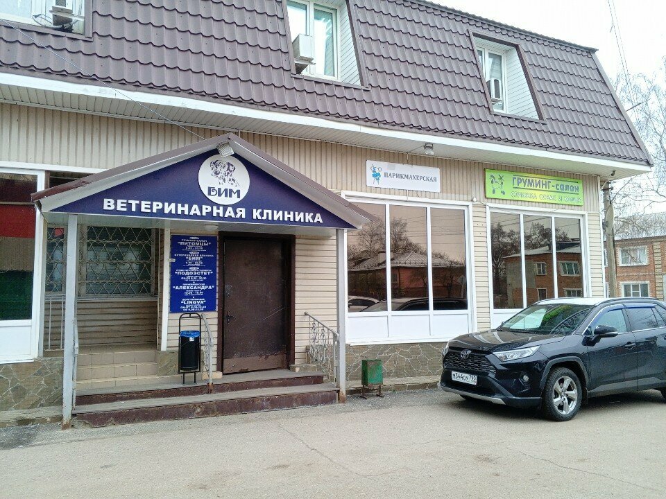 Evcil hayvan kuaförleri Питомцы, Luhovitsy, foto