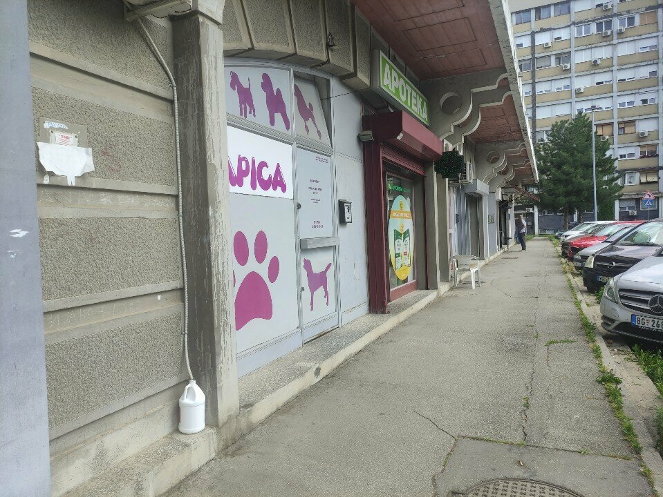 Evcil hayvan kuaförleri Sapica, Belgrad, foto