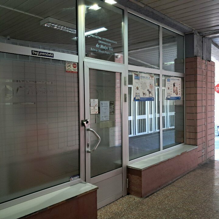 Veteriner klinikleri Dr Maja Ilić veterinarska ambulanta, Belgrad, foto