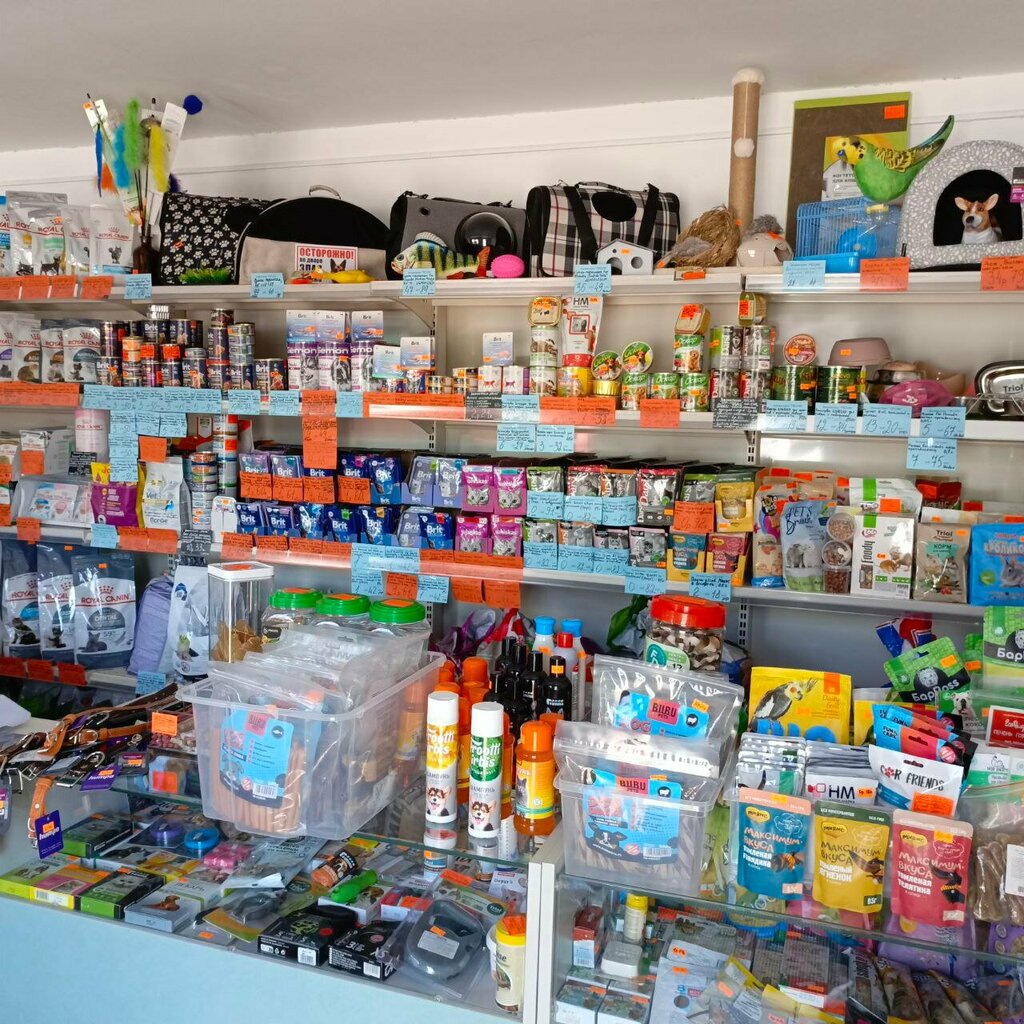 Petshop Пёсик, Pinsk, foto