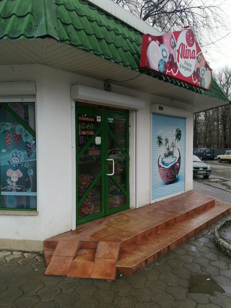 Manavlar Alina, Beltsi, foto