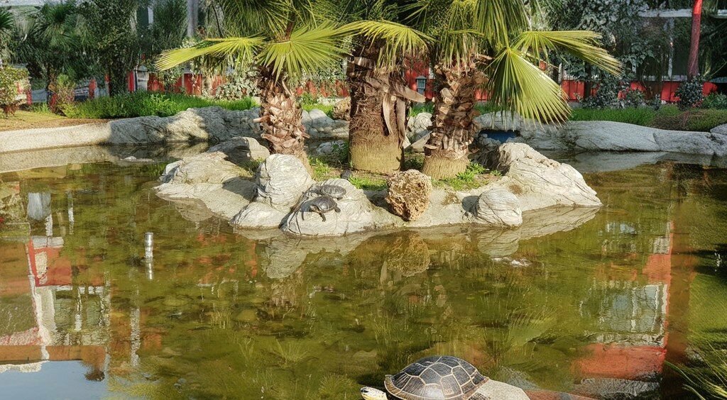 Emlak ofisi Phuket Life, İstanbul, foto