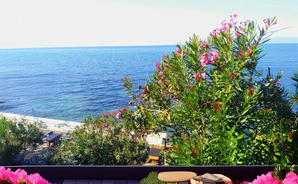 Restoran Tarihi Çınar Balık Restaurant, Kuşadası, foto