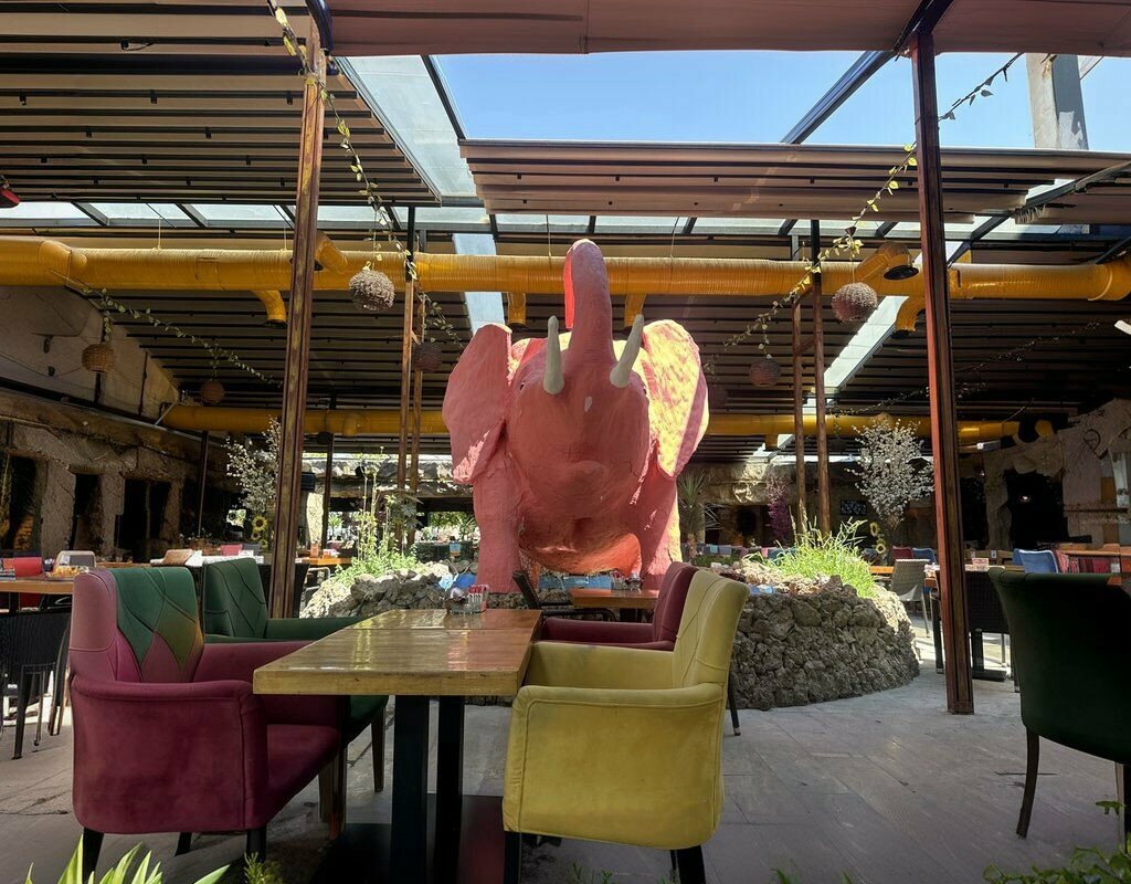 Kafe Albino Cafe, Van, foto