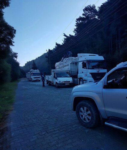 Alışveriş merkezleri Gökova Tarım Ürünleri, Ula, foto