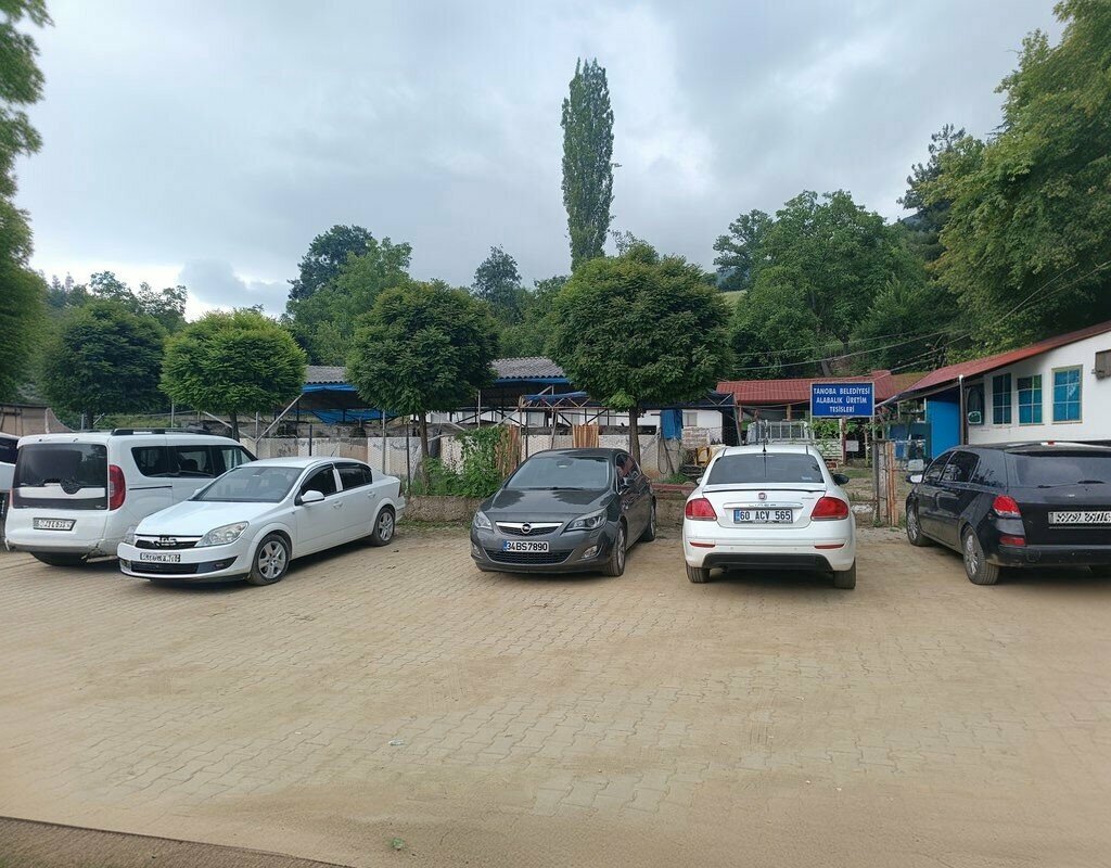 Restoran Tanoba Alabalık Lokantası, Erbaa, foto