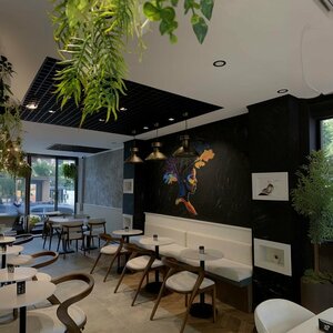 Bigport Coffee (Trabzon, Vakfıkebir, Kemaliye Mah., Kanuni Sok., 14), kahve dükkanları  Vakfıkebir'den