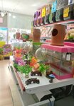 Hoby Petshop (Tekirdağ, Kapaklı, Cumhuriyet Mah., Canbazlar Cad., 17/B), petshop  Kapaklı'dan