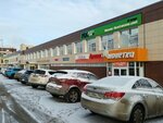 Клумба (Gvardeyskaya ulitsa No:55А, zhiloy rayon Shaksha-Yuzhnaya), çiçekçiler  Ufa'dan