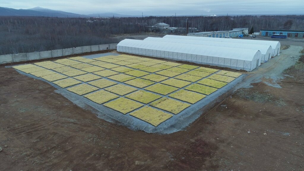 Seracılık Форест Лайф, Sovetskaya Gavan, foto