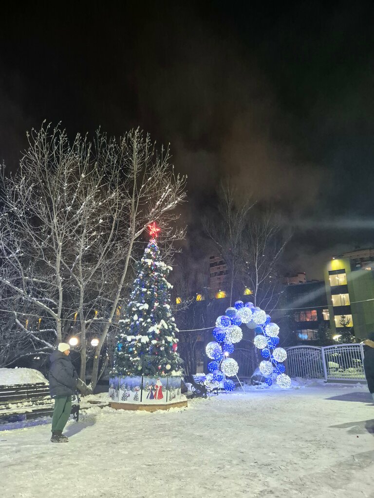 Buz pateni pistleri Ice rink, Moskova ve Moskovskaya oblastı, foto