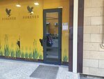 Forever Living Products (A. Shakirov Street No:275Б), yönetim ofisi  Osh'tan