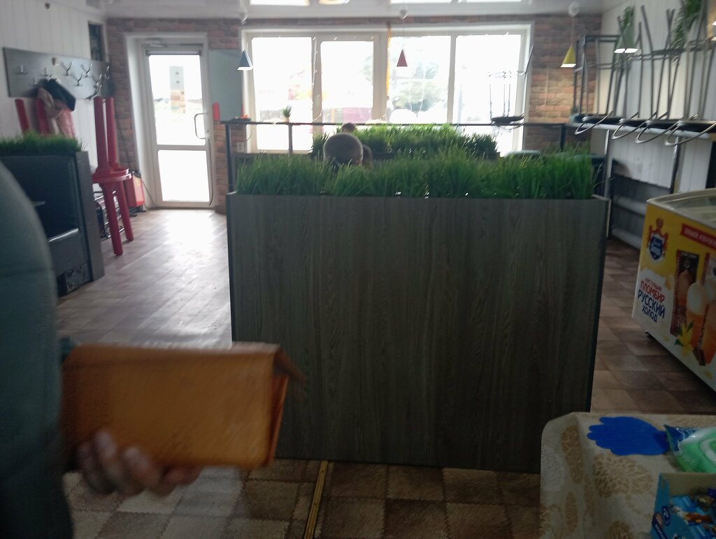 Kafe Сыто-Пьяно, Krasnoyarski krayı, foto
