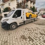 Zirve Halı Yıkama (Düzce, Düzce Merkez, Koçyazı Mah., Gazi Cad., 33A), halı mağazaları  Düzce'den