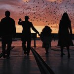 Vigo Film (İstanbul, Beyoğlu, Katipmustafa Çelebi Mah., Anadolu Sok., 23A), film stüdyoları  İstanbul'dan