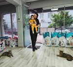 Şans Veteriner Kliniği (Aydın, Efeler, Yedi Eylül Mah., 1003. Sok., 18A), veteriner klinikleri  Efeler'den