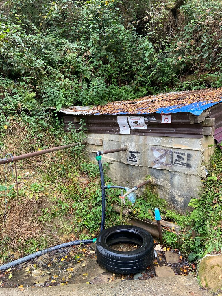 Pınar, çay Spring, stream, Soçi, foto