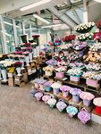 Kdbuket.ru (ulitsa Yeleny Kovalchuk No:4), çiçekçiler  Kaliningrad'dan