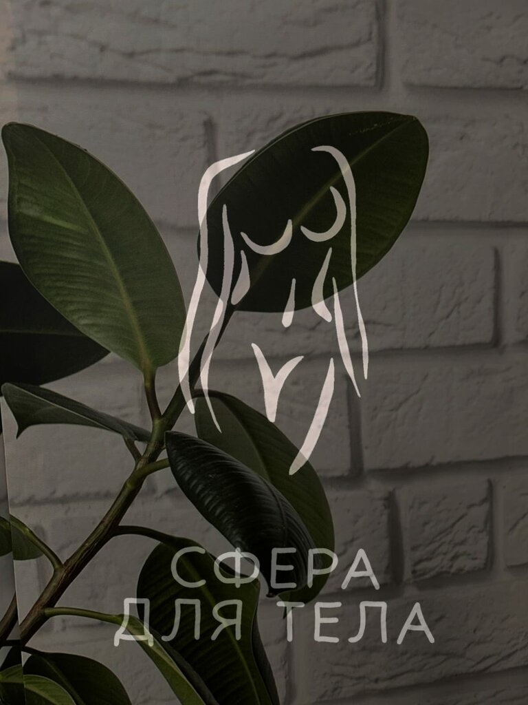 Masaj salonları Сфера для тела, Murino, foto