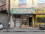 Evin tütüncülük (Yeşilırmak Cad., No:60, Şahinbey, Gaziantep), tütün, sigara mağazaları  Gaziantep'ten