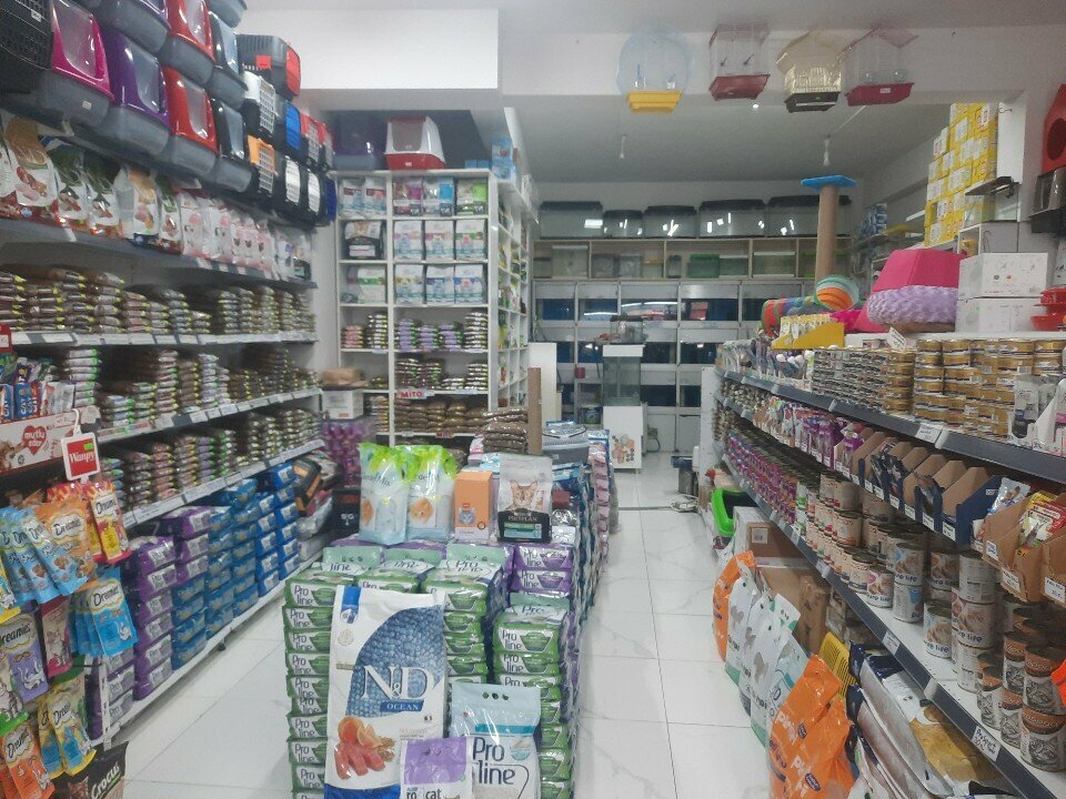 Petshop Görkem Pet Shop, İstanbul, foto