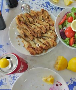 Dalyan Balık Evi (Gölbucağı Mah., Bülent Ecevit Blv., No:66/2, Merkez, Bartın), restoran  Bartın'dan