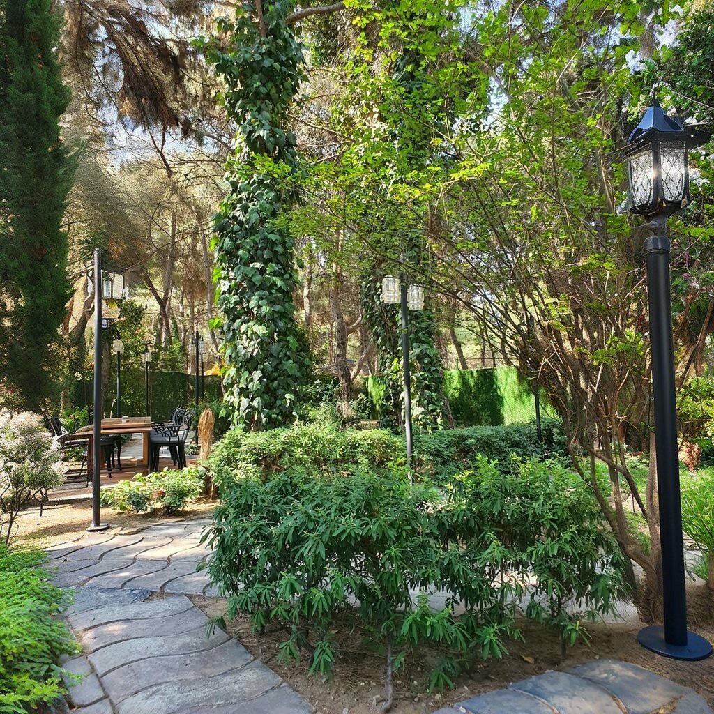 Piknik alanı Sarnıç Piknik Alanı, İzmir, foto