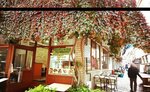 Dursunlar Lezzet Lokantası (Sivas, Zara, Kızılırmak Mah., Veysel Dursun Cad., 36), restoran  Zara'dan