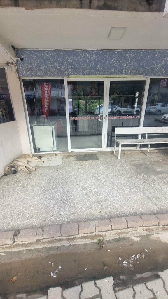 Berberler Dont Erkek Kuaförü, Fethiye, foto