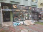 Doğuşkent Petshop (Girne Mah., Doğuşkent Cad., No:20, Maltepe, İstanbul), petshop  İstanbul'dan