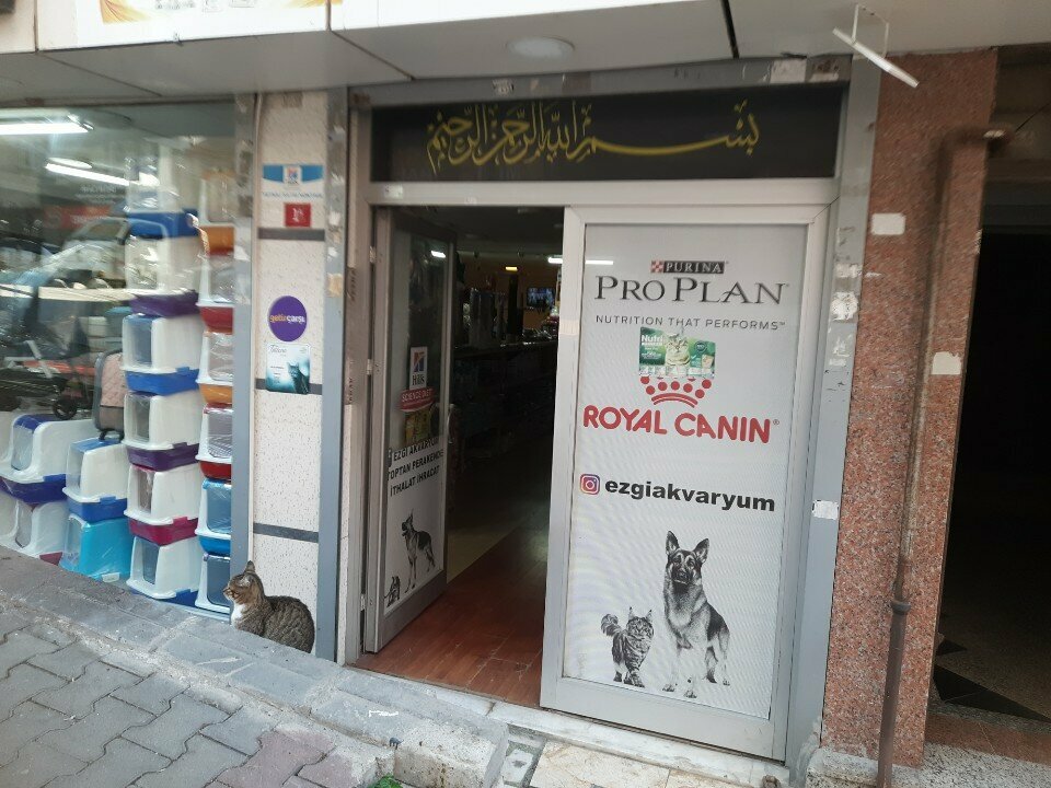 Petshop Ezgi Akvaryum, İstanbul, foto
