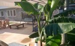 Lavantam Datca (Muğla, Datça, Datça Mah., Küme 1. Küme Evler, 4), tarım firmaları  Datça'dan