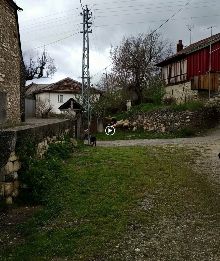 Muhtarlıklar Yukarı Güney Köy Muhtarlığı, Araç, foto