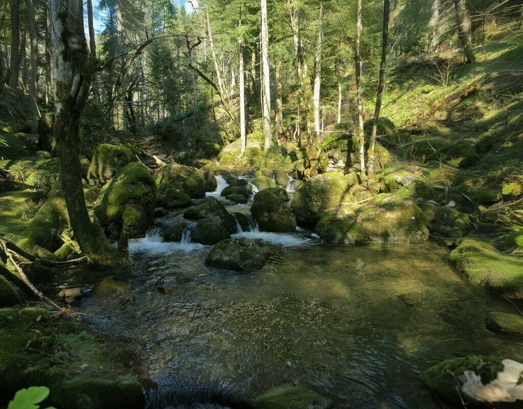 Doğa koruma alanı Baklabostan Tabiat Parkı, Karabük, foto