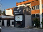 Homay Hair (İstanbul, Avcılar, Gümüşpala Mah., İskece Cad., 64), tıp merkezleri ve klinikler  İstanbul'dan