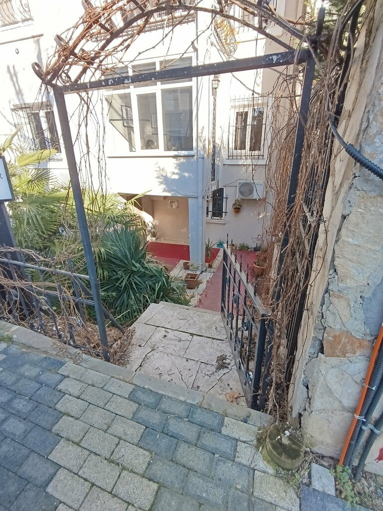 Yabancı dil kursları The Fluency Institute, İstanbul, foto