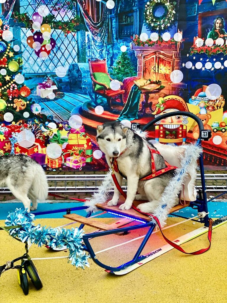 Oyun alanı Playground, Saint‑Petersburg, foto