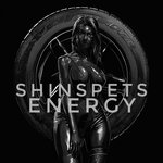 Shinspets Energy (No:58, territoriya GK Energiya), oto lastik tamiri  Balahna'dan
