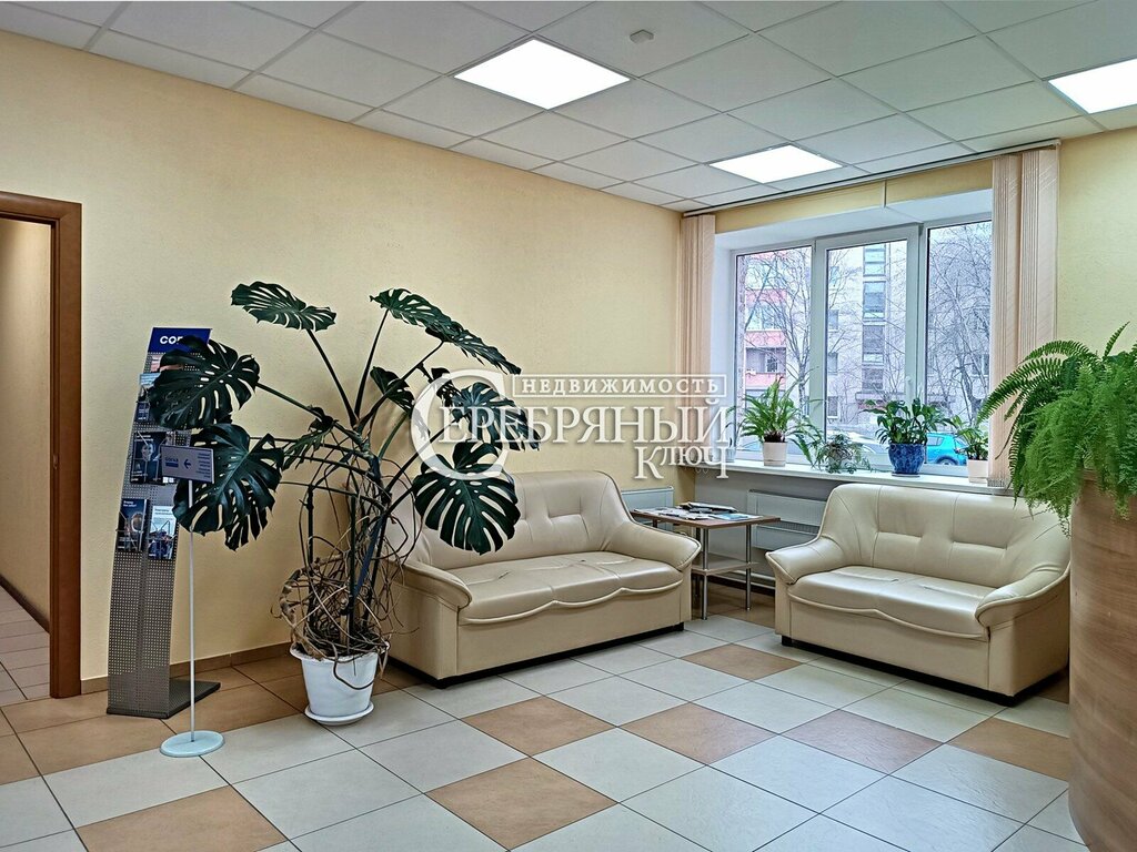 Emlak ofisi Silver Key, Sosnoviy Bor, foto