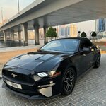 Furious (Al Khaili Tower, Business Bay, Dubai), oto kiralama  Dubai'den