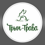 Flowers Tryn-grass (Lenina Avenue No:22), çiçek teslimatı  Novorossiysk'ten