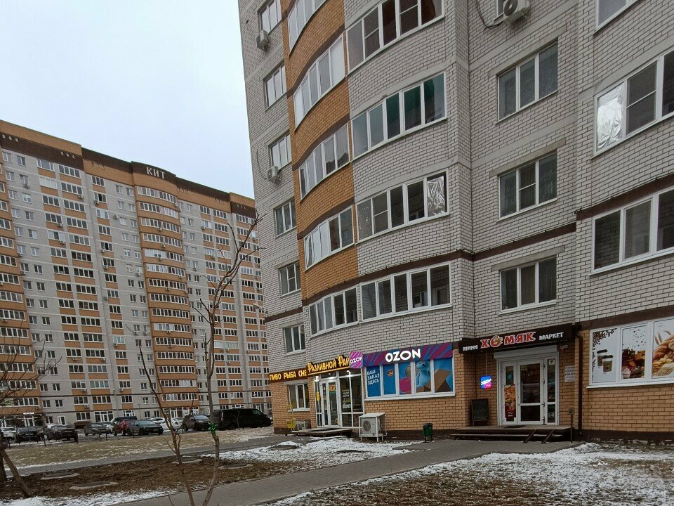 Grafik tasarımcılar Sage Studio, Voronej, foto