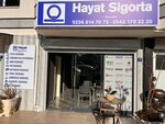 Hayat Sigorta (Aydın, Kuşadası, Hacıfeyzullah Mah., Ferit Demirel- Ali Çallı Sağlık Ocağı Sok., 19/1), sigorta acentaları  Kuşadası'ndan