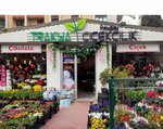 Trakya Çiçekçilik (Kazımiye Mah., Salih Omurtak Cad., No:82, Çorlu, Tekirdağ), çiçekçiler  Çorlu'dan