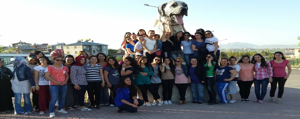 Pansiyonlar, hosteller Sivas Kız Öğrenci Pansiyonu, Sivas, foto