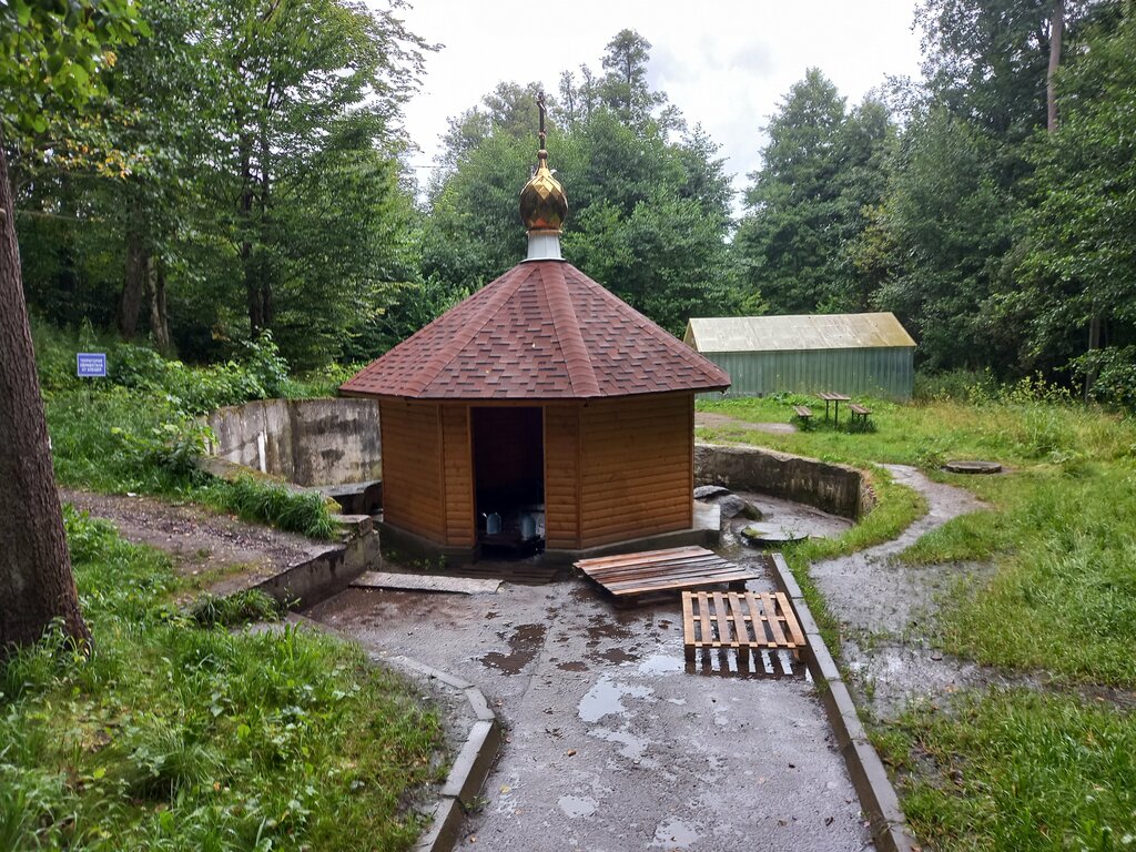 Pınar, çay источник святого Александра Невского, Kaliningradskaya oblastı, foto